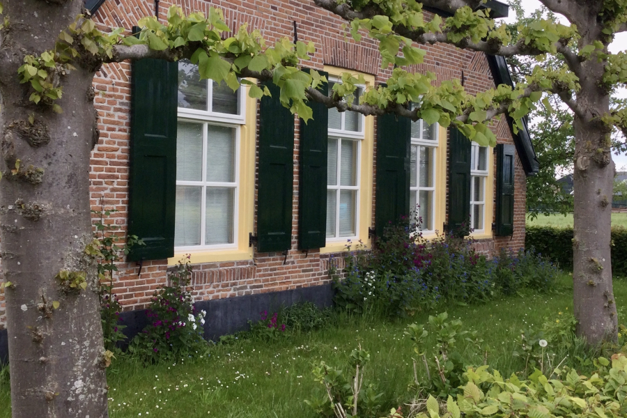 De achtertuin van Marion Baars | Landschap Overijssel